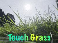 Touch Grass S Find And Share On Giphy