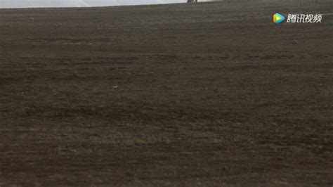 大秦帝国之天下腾讯视频