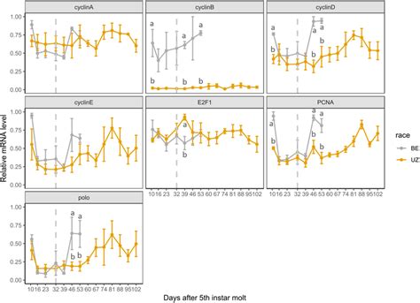 Ontogenetic Profiles Of Transcript Abundance Of Cell Cycle Regulators Download Scientific