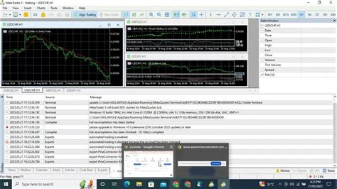 Pineconnector Connect Tradingview Scripts To Metatrader Youtube