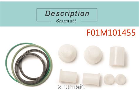 F01m101455 Common Rail Diesel Fuel Cr Cp1 Pump Repair Kit Overhaul Kit ...
