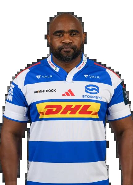 Dhl Stormers Rugby Team Forwards Backs And Management The Stormers
