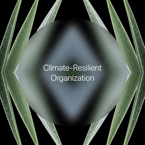 Climate Resilient Organization → Term