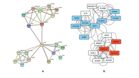 A String Ppi Network As Obtained For The Genes Present In The Download Scientific Diagram