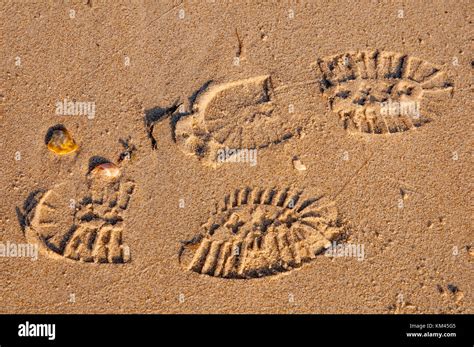Shoe Print On Sand