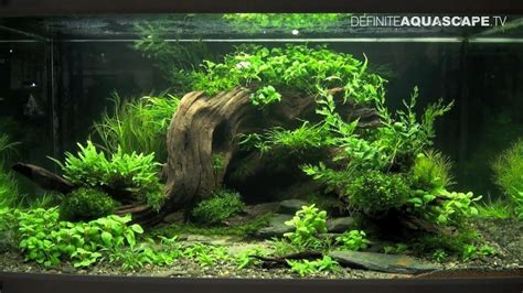 Aquascaping The Art Of The Planted Aquarium 2013 Xl Pt2 Youtube