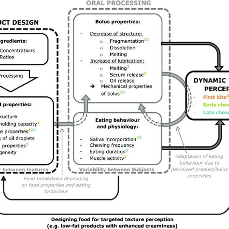 integration of product properties and oral processing in relation to