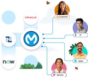 Mulesoft Meta It Systems