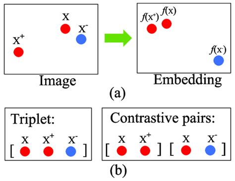 A Illustration Of Distance Metric Learning B Triplet Loss Download Scientific Diagram