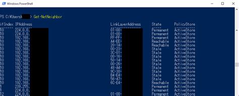 【powershell】get Netneighbor Ipアドレス・macアドレスを調べる Riss Blog
