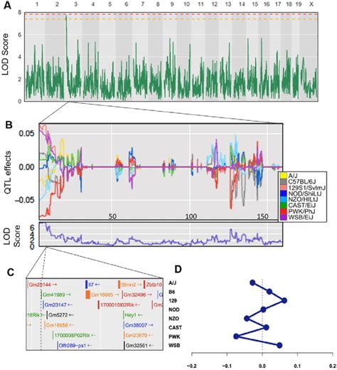 Quantitative Trait Locus Mapping Of Serum Gdf11 Adjusted For Sex