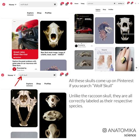 Morphology Drawing Life