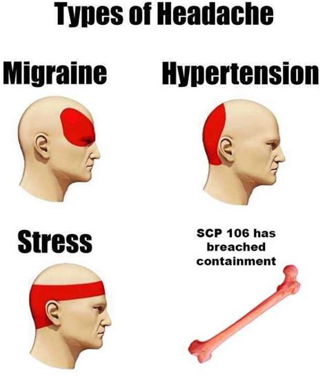 Best Scp Images On Pholder Dank Memes From Site SCP And Unexpected SCP