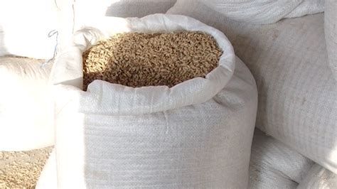 Телевизија 24 Дополнителна поддршка од 6 000 денари за 1 000 килограми откупена оризова арпа за