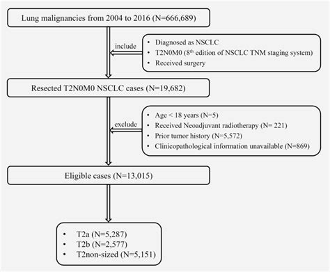 The Flowchart Of Patient Screening And Enrollment Nsclc Non Small Download Scientific Diagram