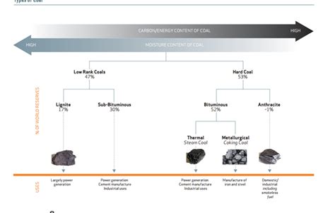 The Buried Sunshinethe Coalification Process And Coal Types