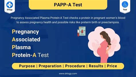 Papp A Pregnancy Associated Plasma Protein A Test Drlogy Test Price