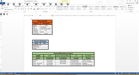 Tree Inventories Surveys Natural Path Forestry