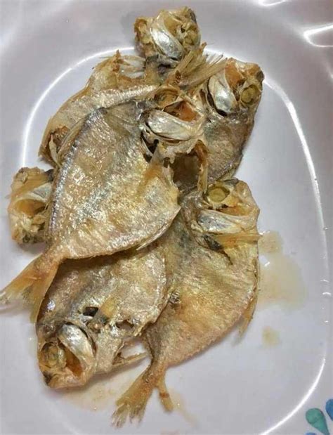 Delicous Dried Fish Called Potpot — Hive