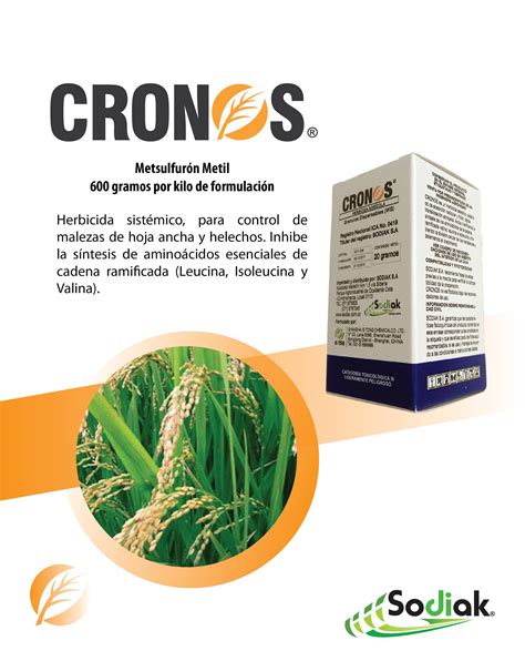 Sodiak S A Sáquele El Clavito Jussiea Linifolia A Su Facebook