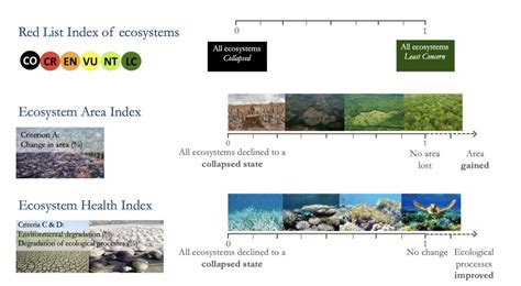 Ecosystem Indicators Accepted By The Cbd Biodiversity Indicator Partnership Conservation Science