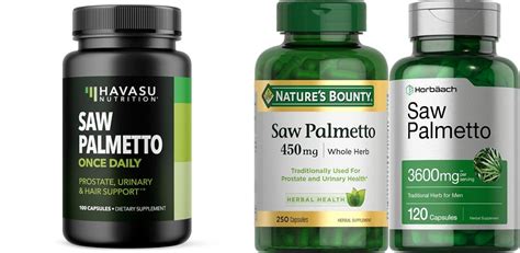 Best Saw Palmetto Top 5 Picks And Review