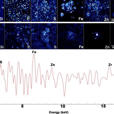 A Lymph Node Sample Was Scanned With X Rays Tuned To 183 Kev Energy At Download Scientific