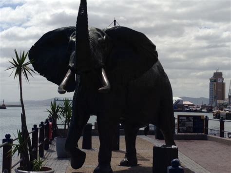 Exploring Security And Observability On Splunk Lantern Splunk