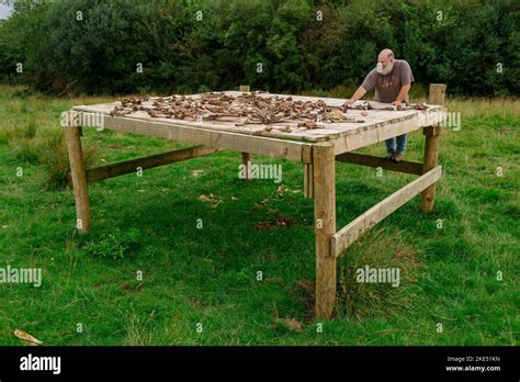 Picture By Jim Wileman 130821 Derek Gow Pictured With A Sky Table At Upcott Grange Farm