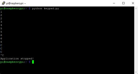 How To Use A Keypad With A Raspberry Pi 4 Raspberry Pi Maker Pro