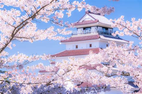 Sakura Beauty Wellness Cottage Massage Beauty Ronse Oost Vlaanderen Relaxy