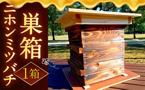 ニホンミツバチ 巣箱 1セット ミツバチ ハチ 蜜蜂 蜂 蜂蜜 はちみつ ハチミツ 福岡県北九州市｜ふるさとチョイス ふるさと納税サイト