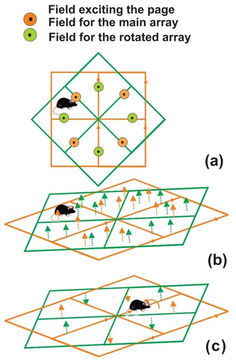 Star Shaped Coils In The Transmitter Array For Receiver Rotation