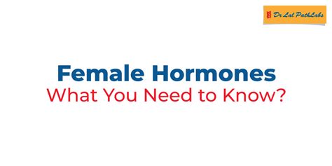 What You Need To Know About Female Reproductive Hormones Dr Lal