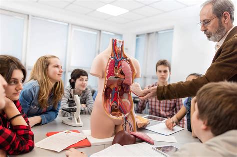 Anatomy And Physiology Tutoring Online Revolution Prep