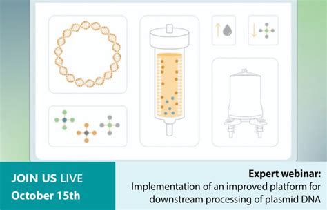 Bia Separations Inc On Linkedin Pdna Chromatography Purification