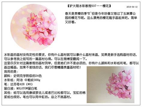 绘制水彩风格的樱花作品 Ps教程网