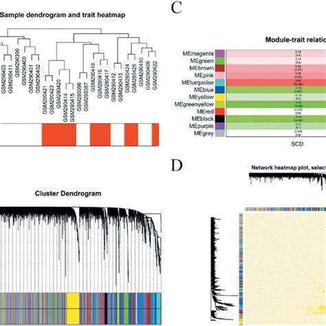 The Eigengene Dendrogram And The Network Of Eigengenesa The