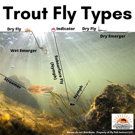 Trout Flies Bcf At Jill Deleon Blog