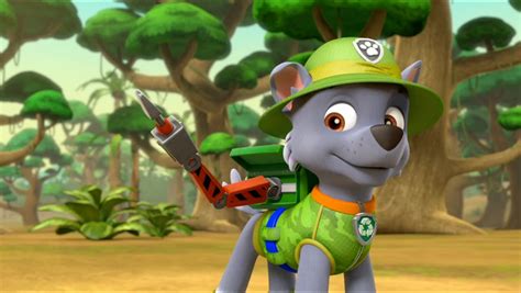 Rocky - Rocky - PAW Patrol Photo (41148818) - Fanpop