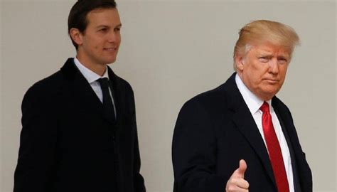 特朗普大女婿和沙特王储库什纳特朗普沙特王储新浪新闻