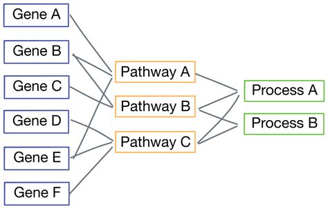 Explained Attention Visualization With Attention Rollout