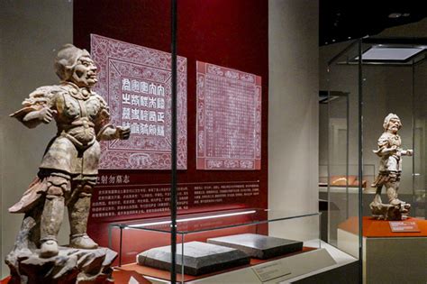 赏古物、逛大集，上博宁夏固原文物精品展让人穿越千年