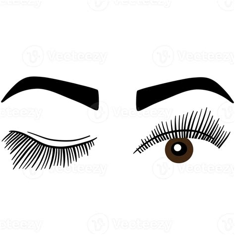 Eyelash Lash Extension Lashes 34339781 Png
