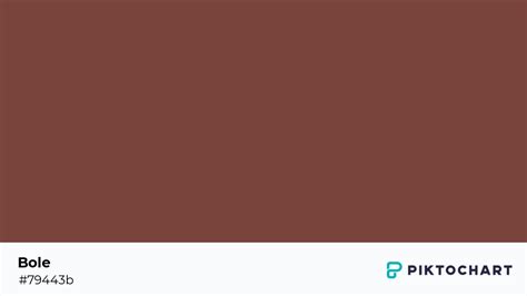 The 25 Best Shades Of Brown Hex Codes