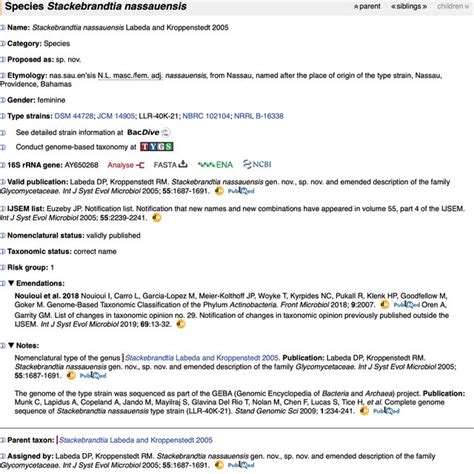 Semantic Segmentation Task Download Scientific Diagram