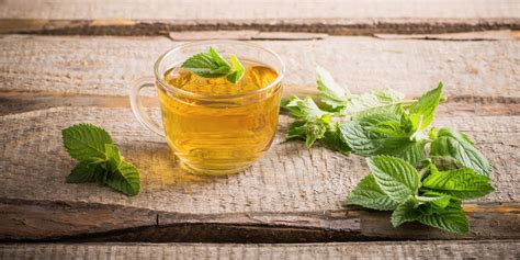 Peppermint Leaf Tea Benefits At Jade Dennys Blog