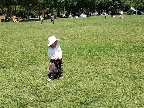 China Used Baic Ev Ec Price Specs And Review Eautofromchina