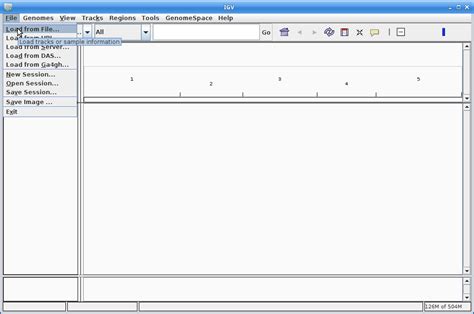 Alignment To Read Counts And Visualization In Igv Uc Davis
