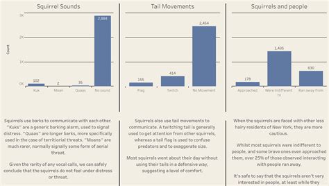Telling A Story With Squirrel Data The Data School